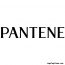 Pantene Logo and Tagline - Slogan - Owner